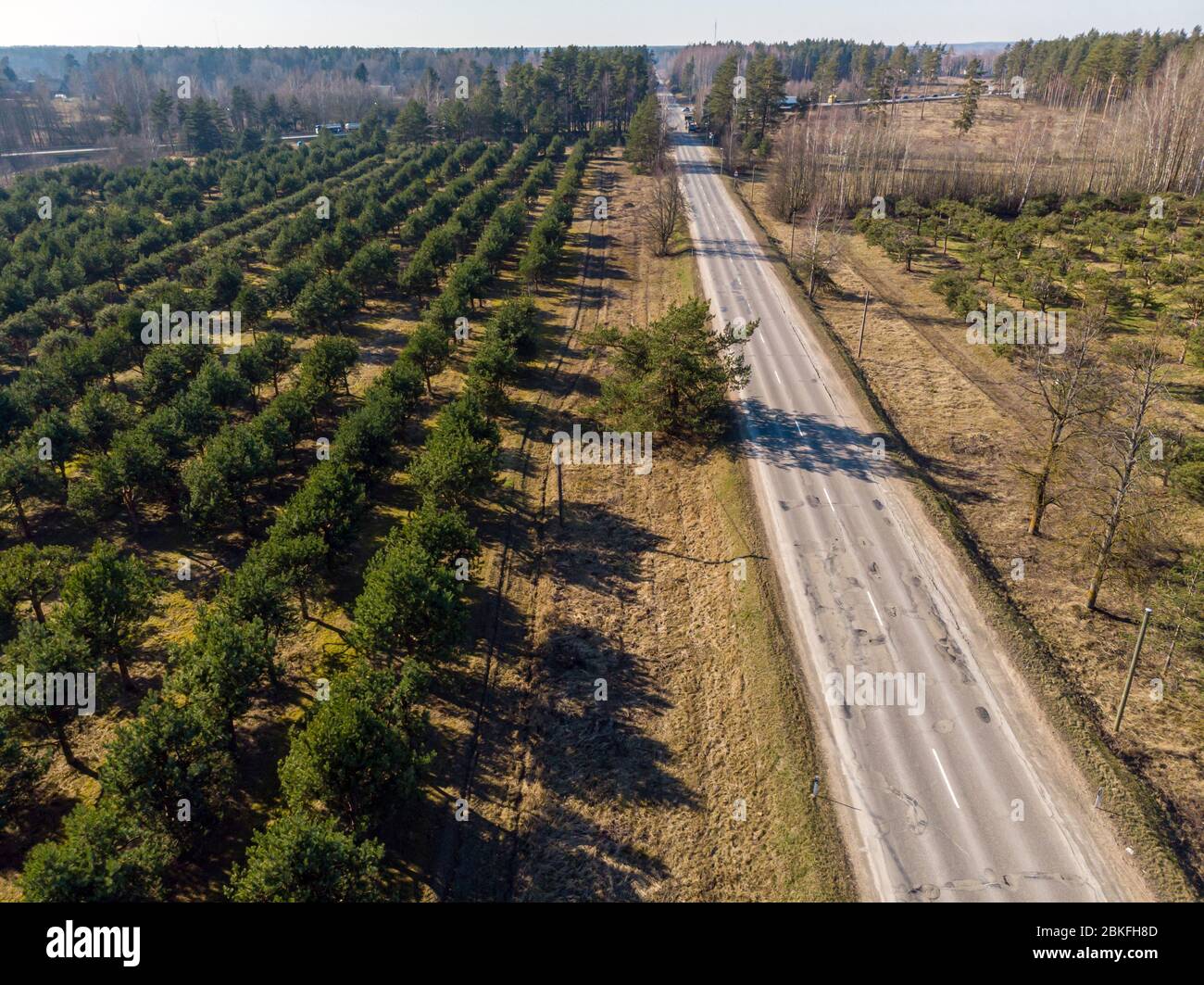 Way above tree line hi-res stock photography and images - Alamy