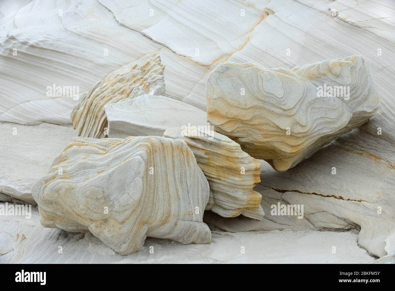 Royal national park and sydney hi-res stock photography and images - Alamy