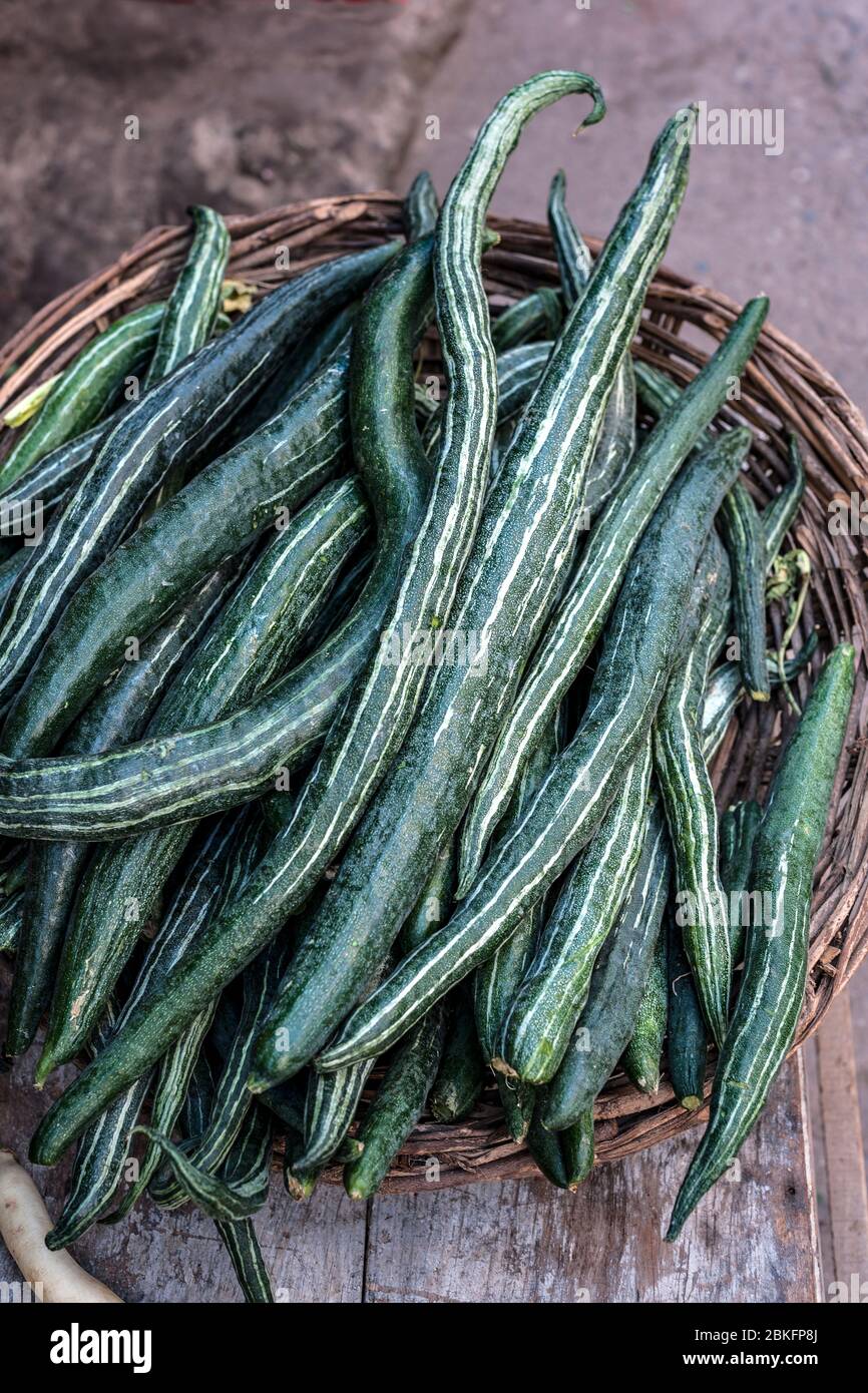 Snake gourds, Haridwar vegetable market, India Stock Photo - Alamy