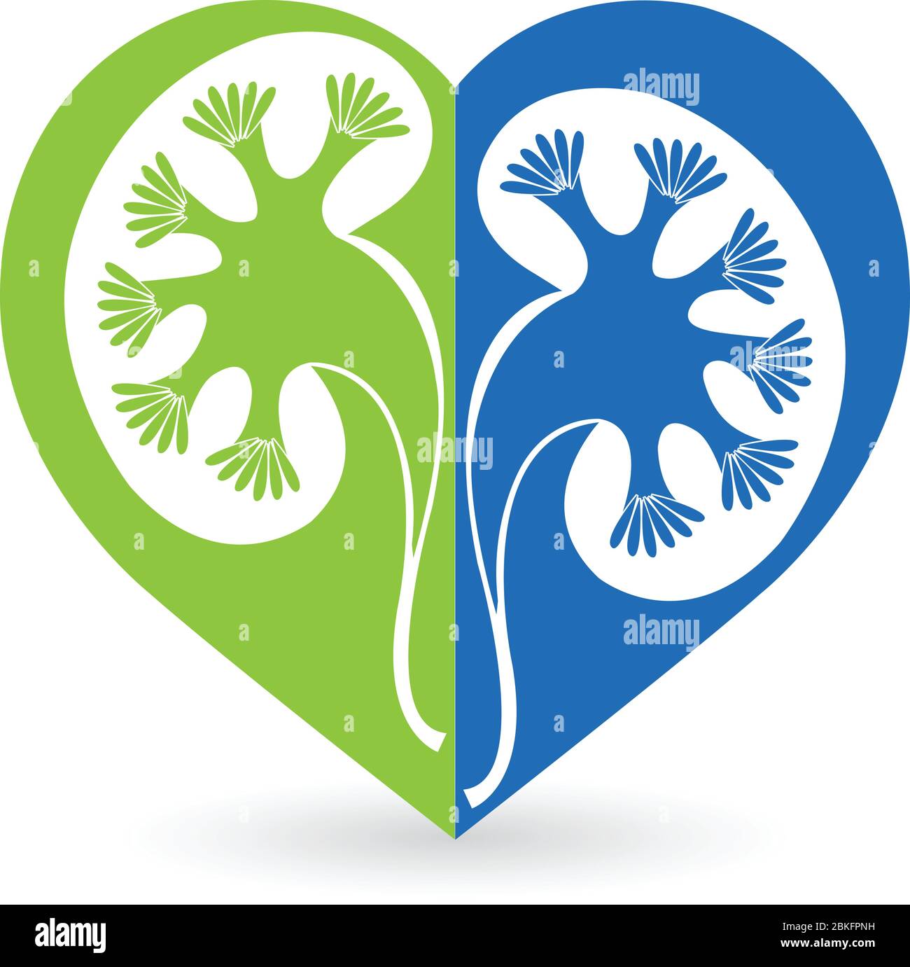 Illustration art of a love shape kidney logo with isolated background ...