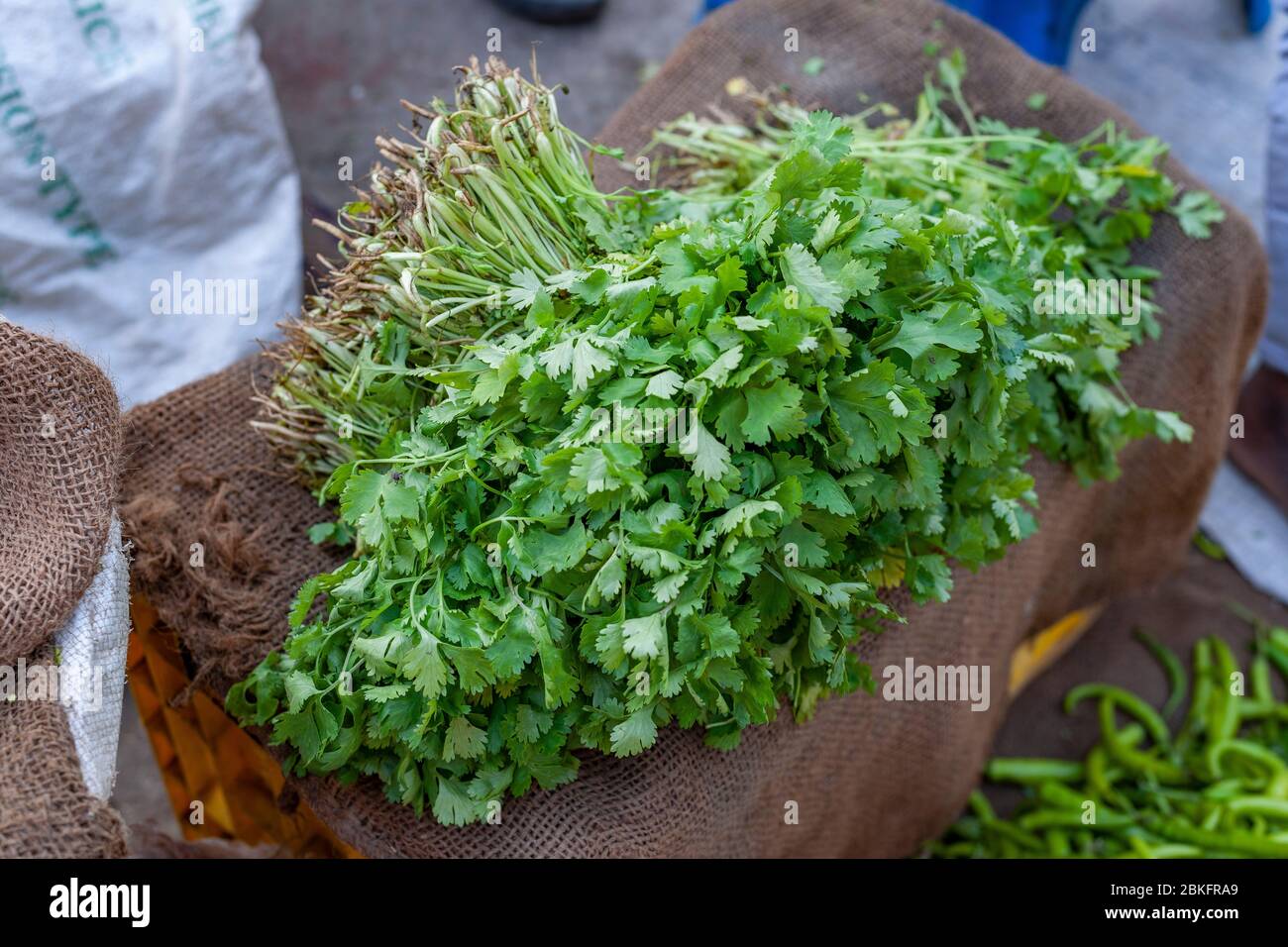Pahar ganj hi-res stock photography and images - Alamy