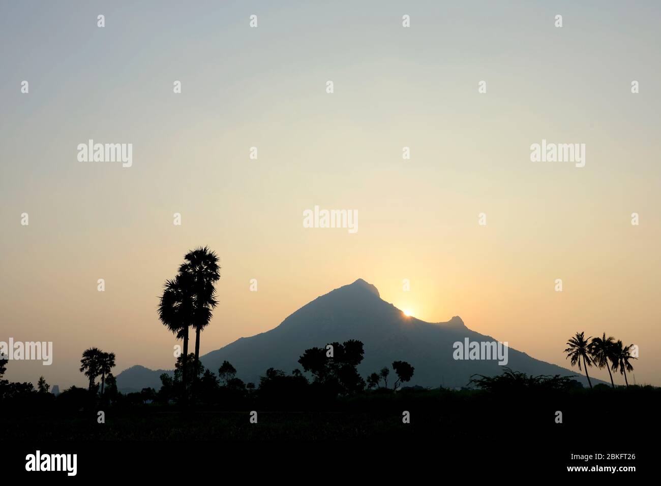 Arunachala hi-res stock photography and images - Alamy