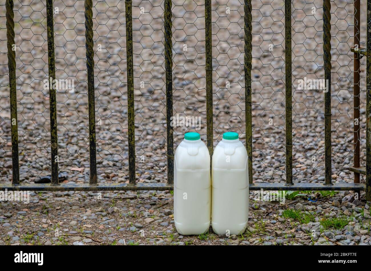 Milk delivered to the outside of the gate at a house in South ...