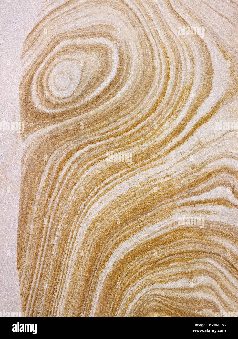 Royal National Park sandstone patterns, NSW, Australia Stock Photo - Alamy