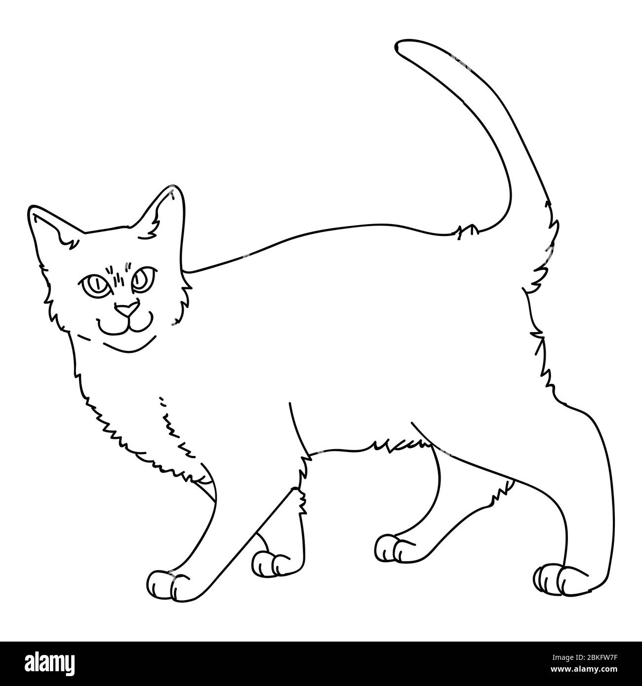Realistic Cat Lineart