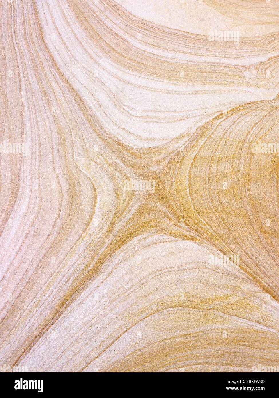 Royal National Park sandstone patterns, NSW, Australia Stock Photo - Alamy