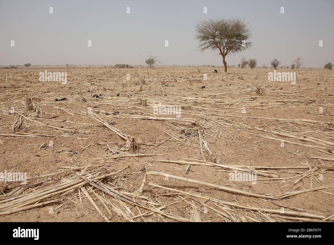 Sahel Drought 2022
