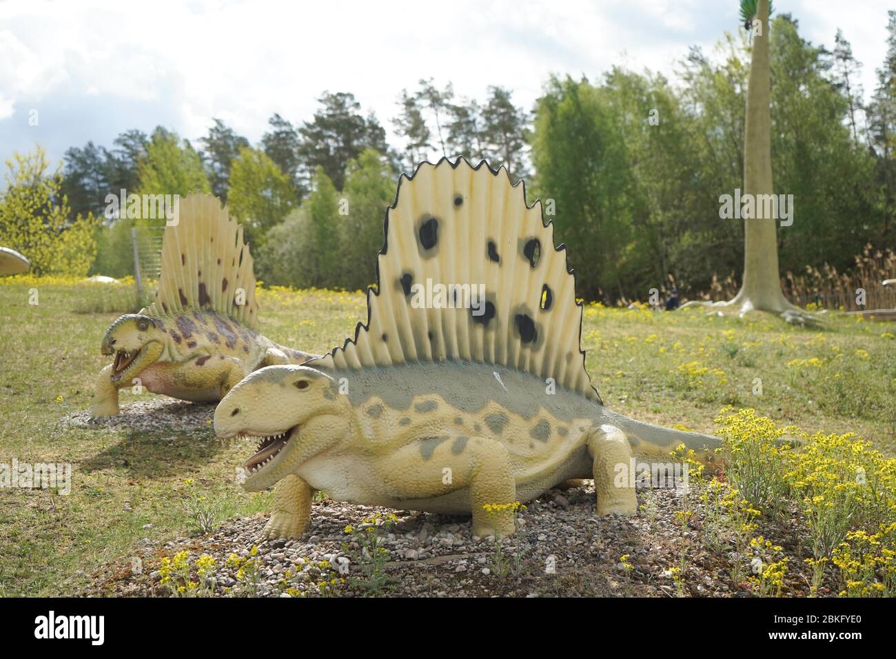 Berlin, Germany. 01st May, 2020. Life-size models of Dimetrodon ...