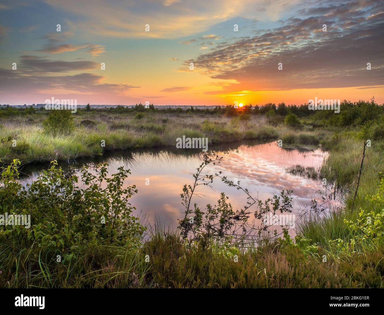 Sunrise over Fochteloerveen swamp nature reserve in Drenthe, the ...