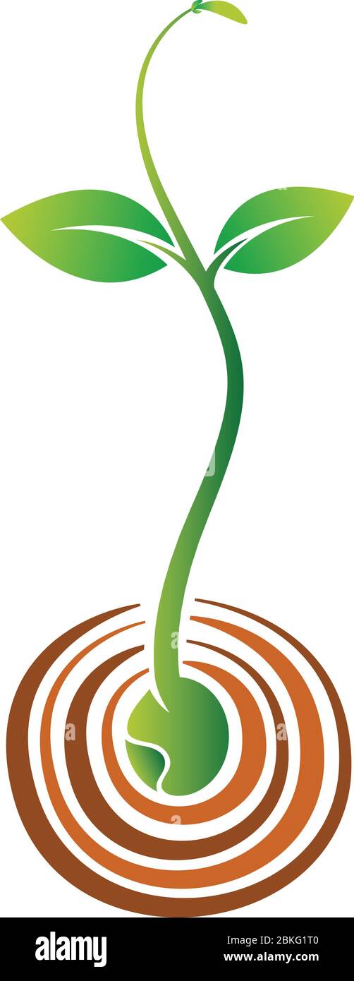 Illustration art of a growth plant logo design with isolated background ...