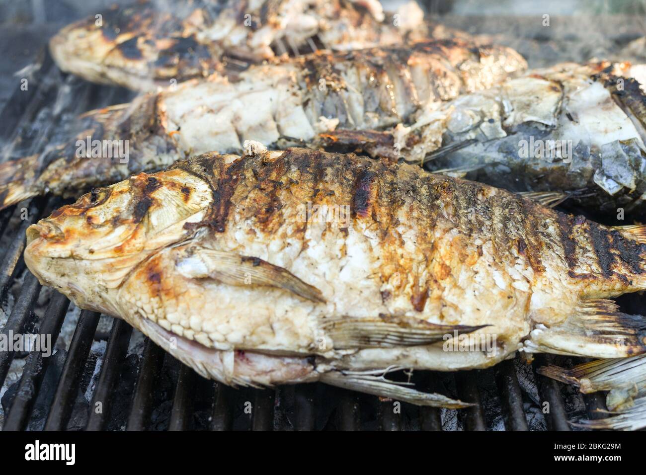 Freshly grilled fish on counter top stall, during seafood festival ...