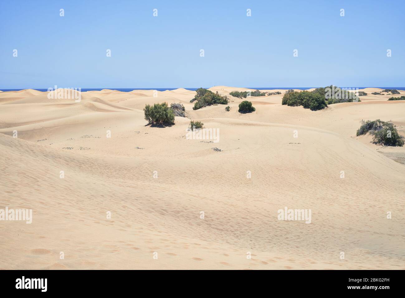 Beautiful shore landscape of white sand dunes at maspalomas beach ...