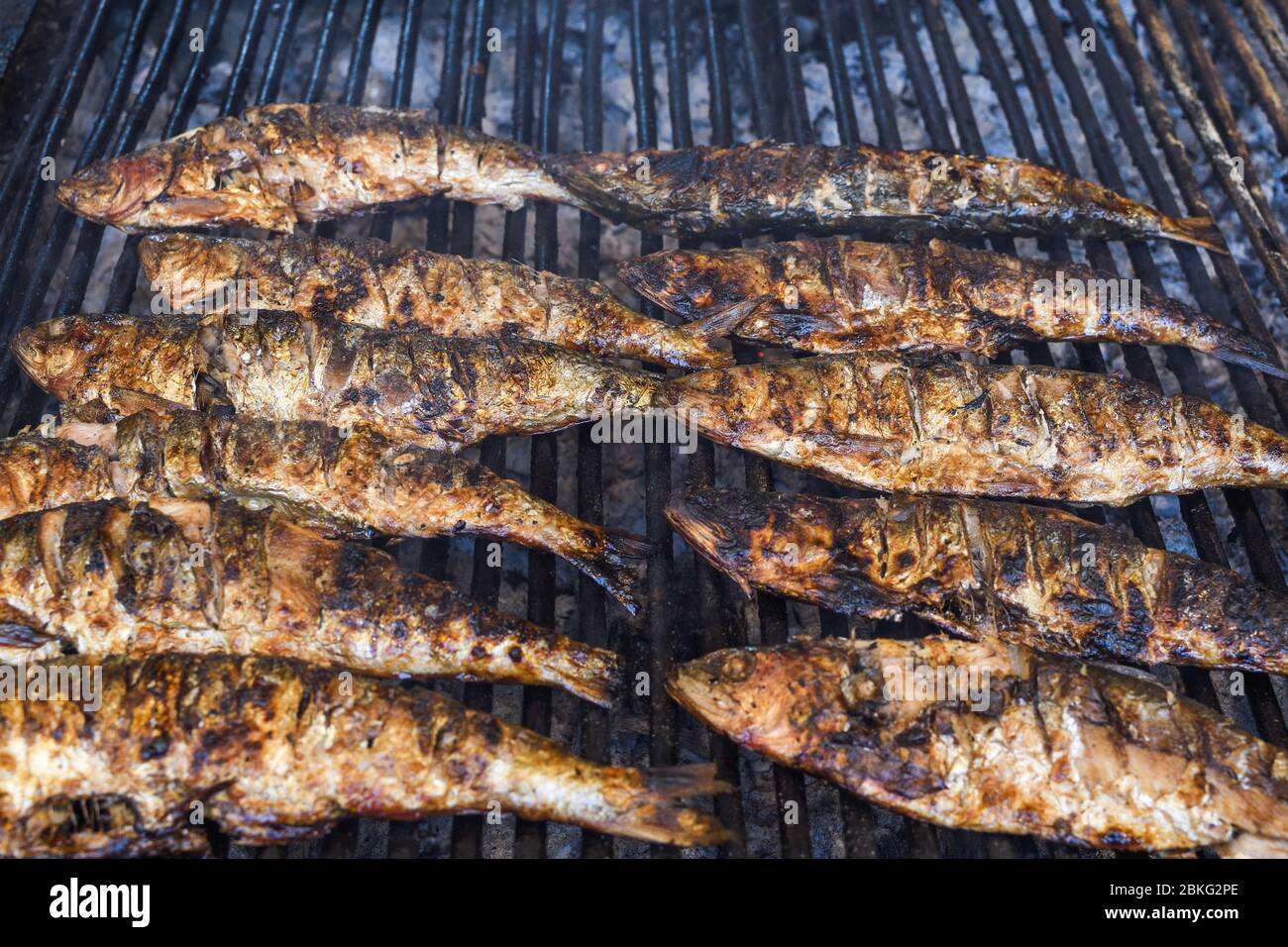 Freshly grilled fish on counter top stall, during seafood festival ...