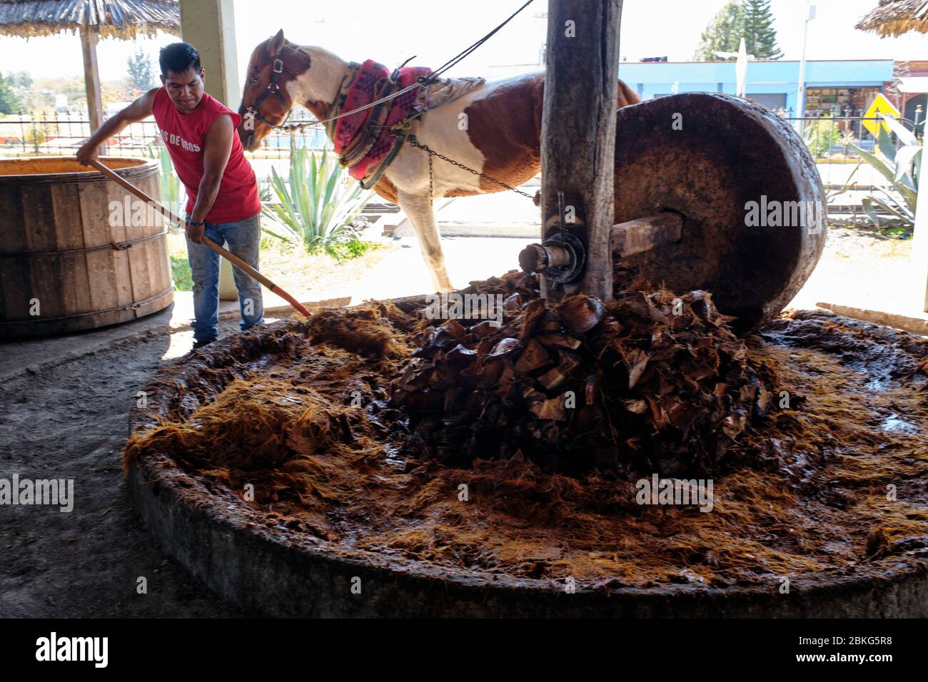 Mezcal de oaxaca hi-res stock photography and images - Alamy