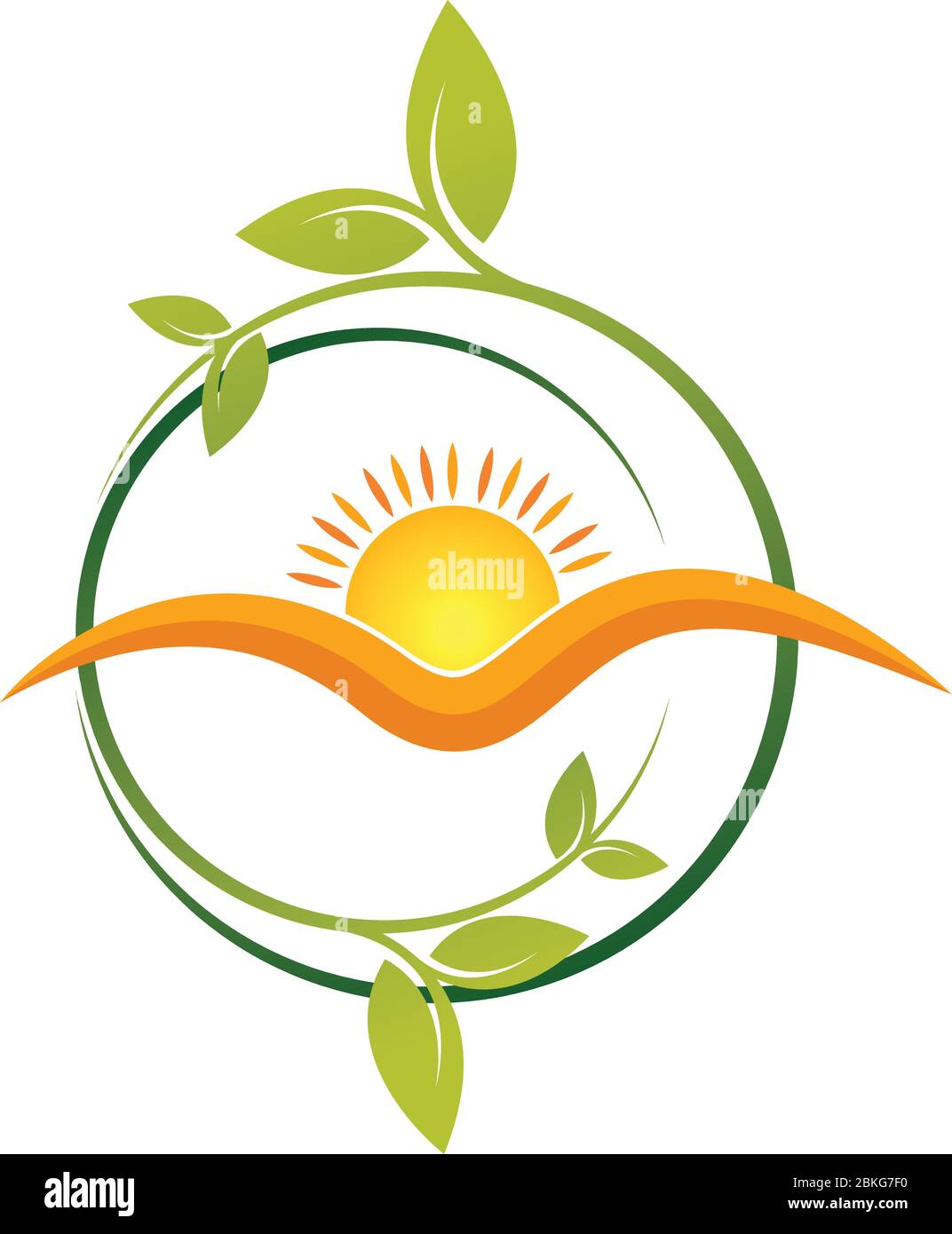 Illustration art of a sun leaf logo with isolated background Stock ...