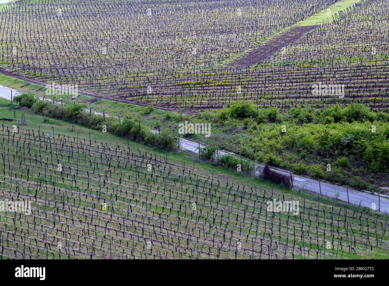 Nagyvolgy teto hi-res stock photography and images - Alamy