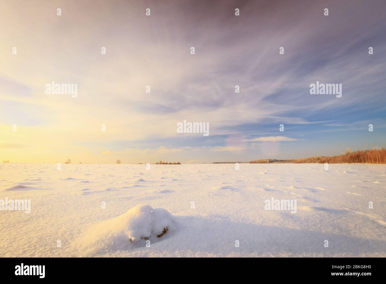 Scene of a beautiful sunset at field with trees at winter season Stock ...