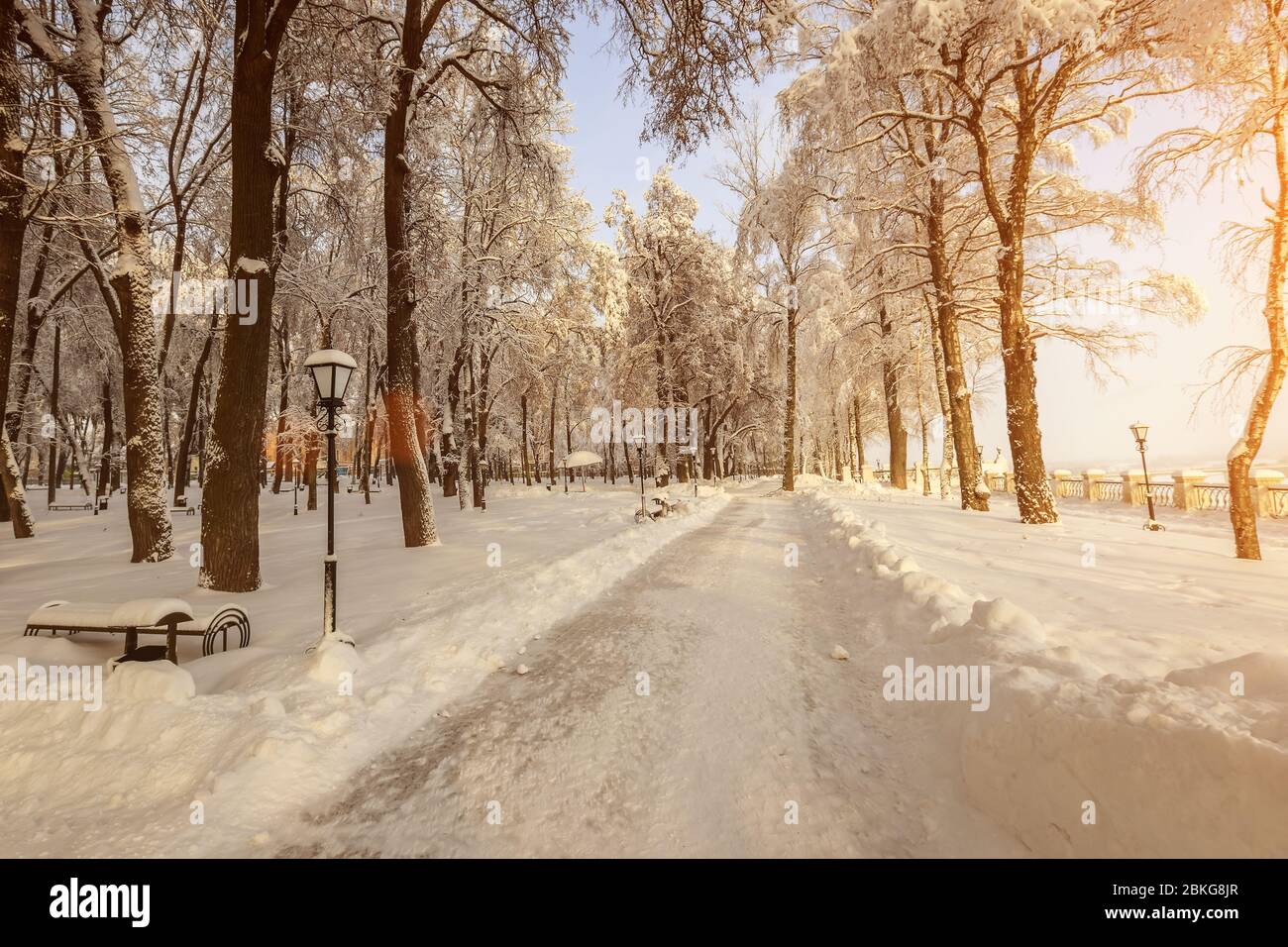 Sunset or sunrise in a winter park with trees covered with snow and ice ...