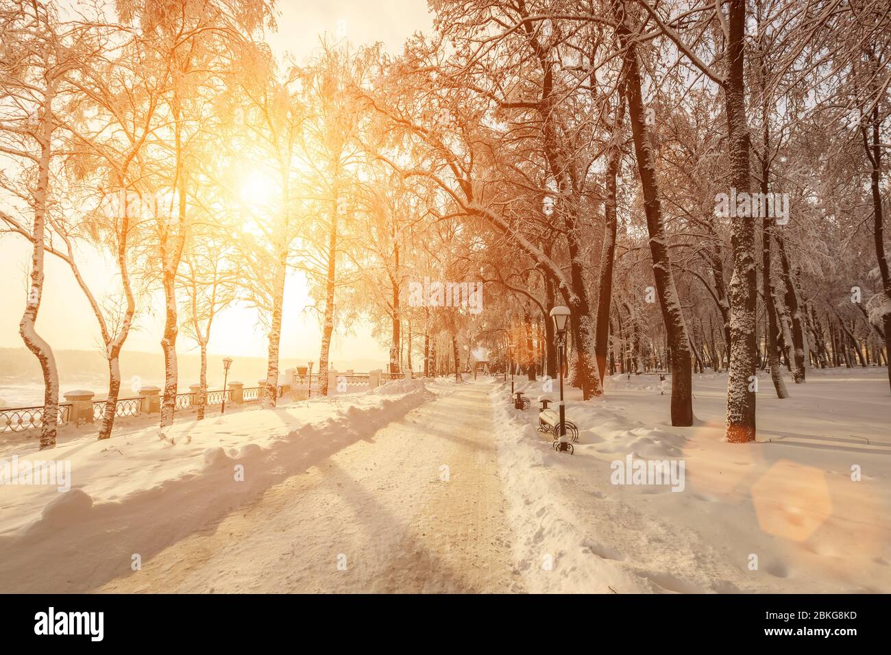 Sunset or sunrise in a winter park with trees covered with snow and ice ...