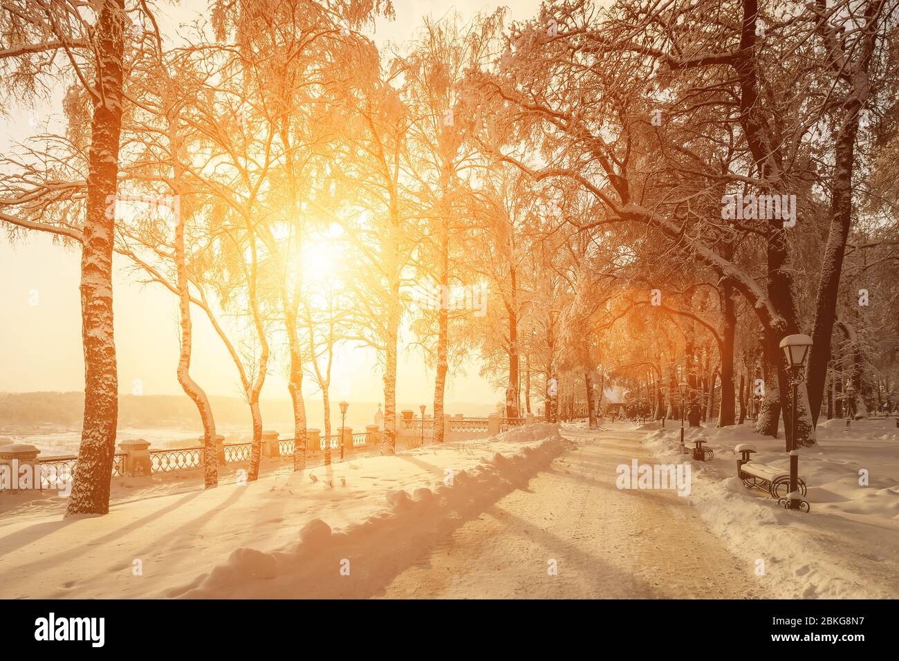 Sunset or sunrise in a winter park with trees covered with snow and ice ...