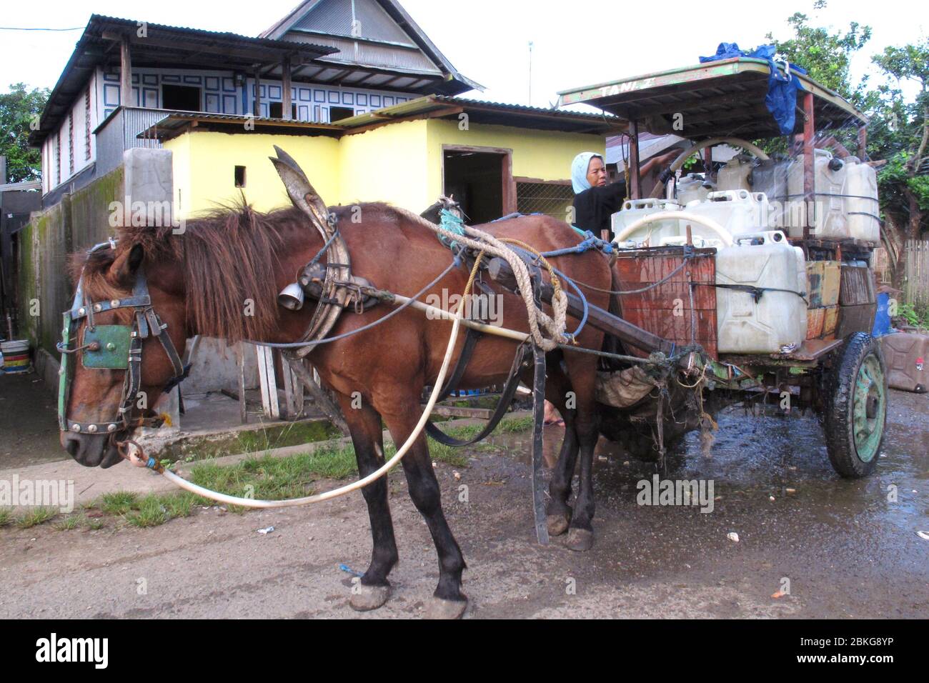 Horse drawn cart carrying people hi-res stock photography and images ...
