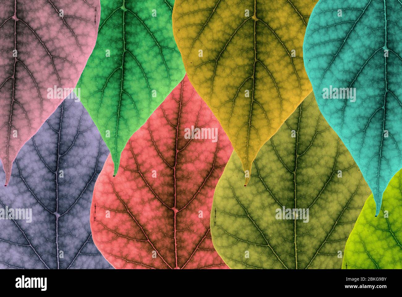 Multi colored overlay hi-res stock photography and images - Alamy