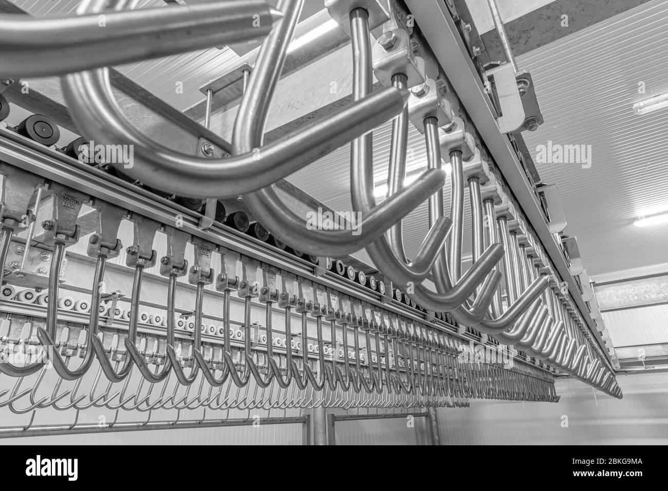 Meat hanging hook.Industrial loading dock area inside cold storage ...