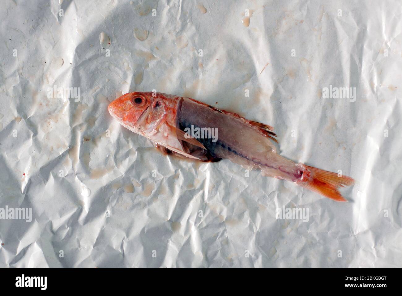 Raw Ingredient Fish Stock Photo - Alamy