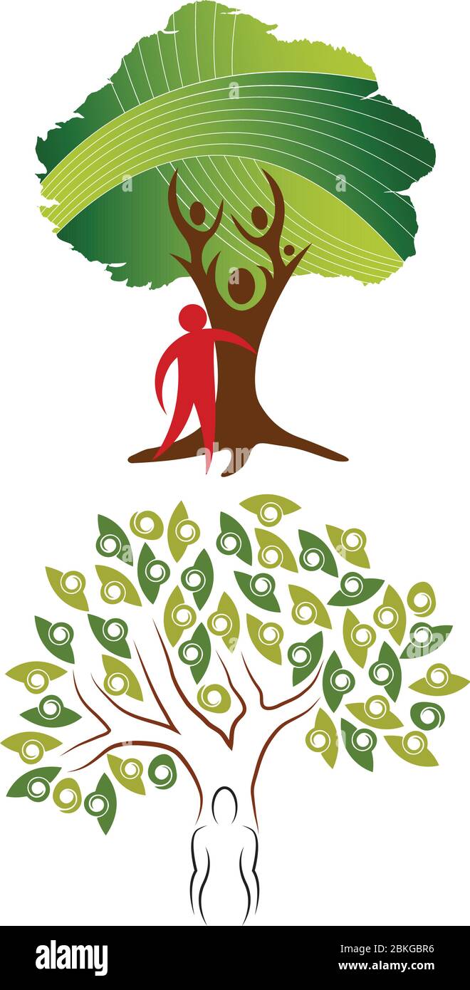 family tree logo Stock Vector Image & Art - Alamy