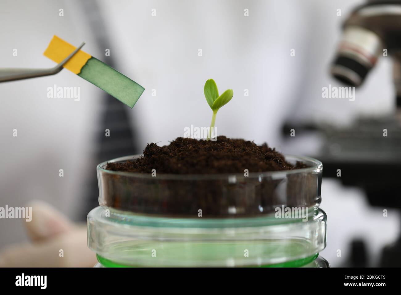 Bio investigation in lab Stock Photo - Alamy