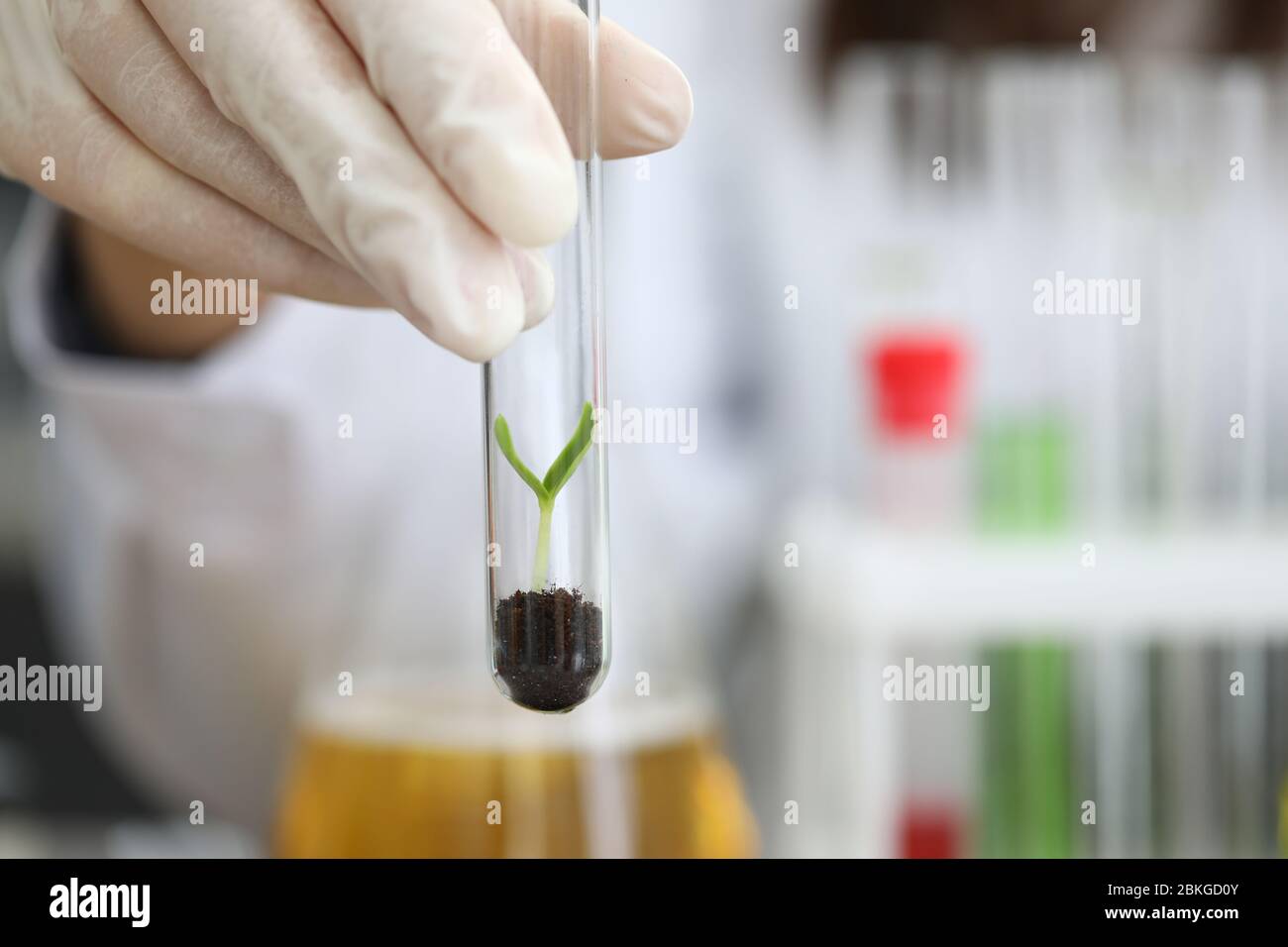 Biologist plant growth hi-res stock photography and images - Alamy