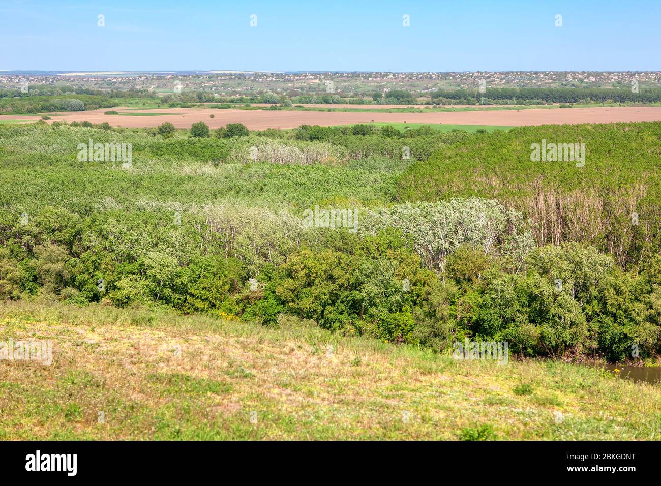 Green trees forest aerial view of treetops Stock Photo - Alamy