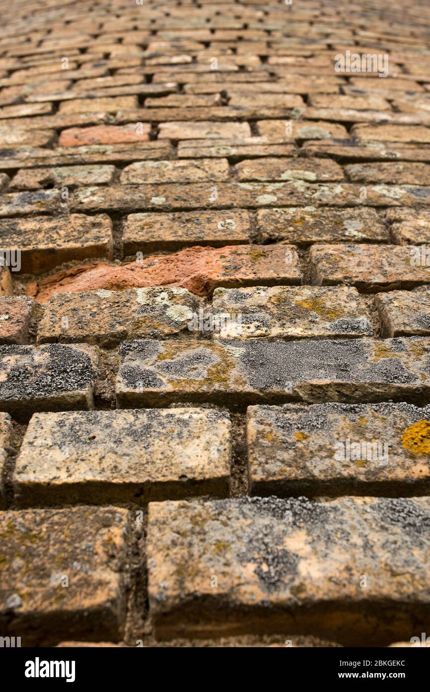 Bottom of wall hi-res stock photography and images - Alamy