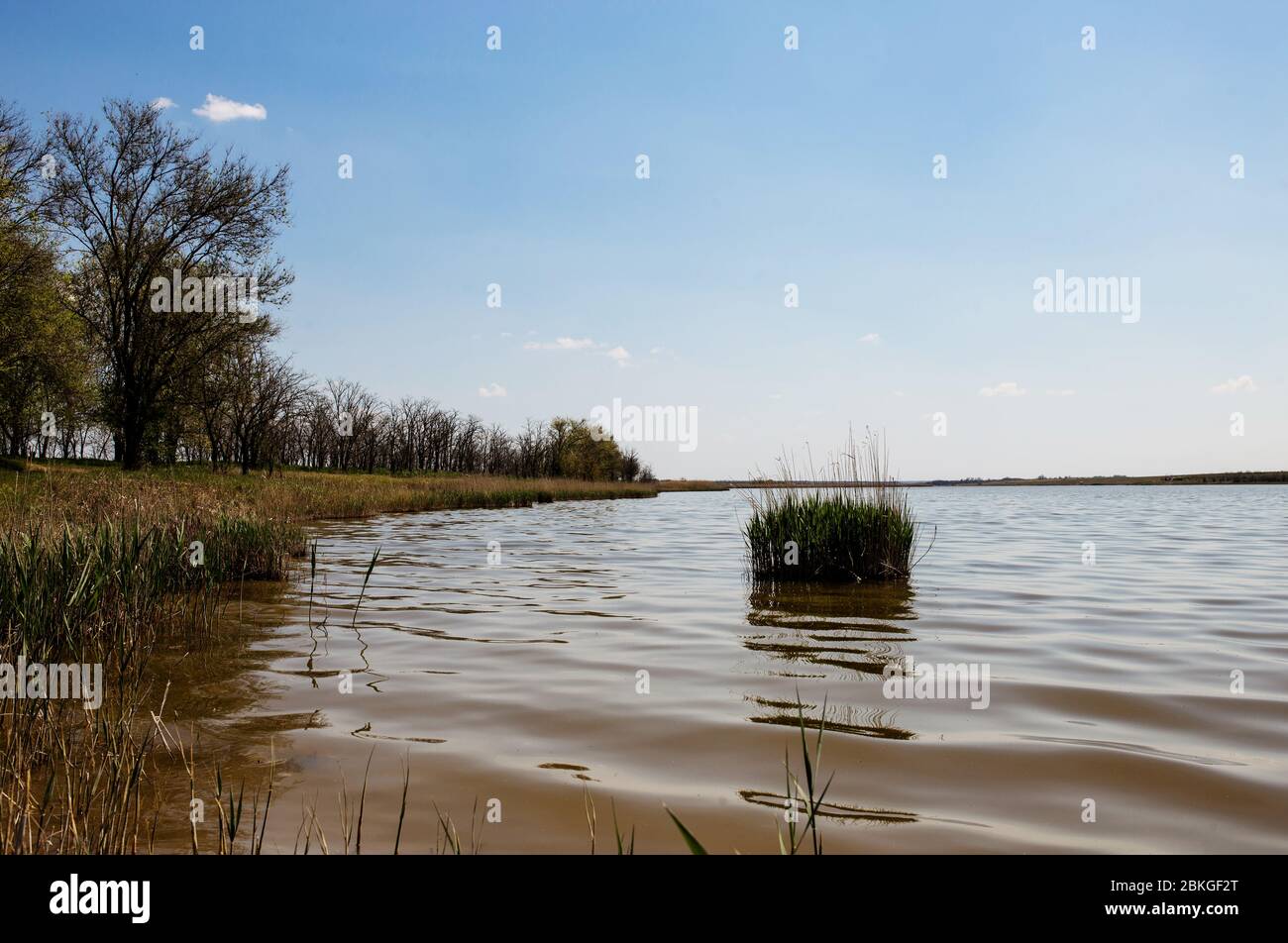 Birds above a wave hi-res stock photography and images - Alamy