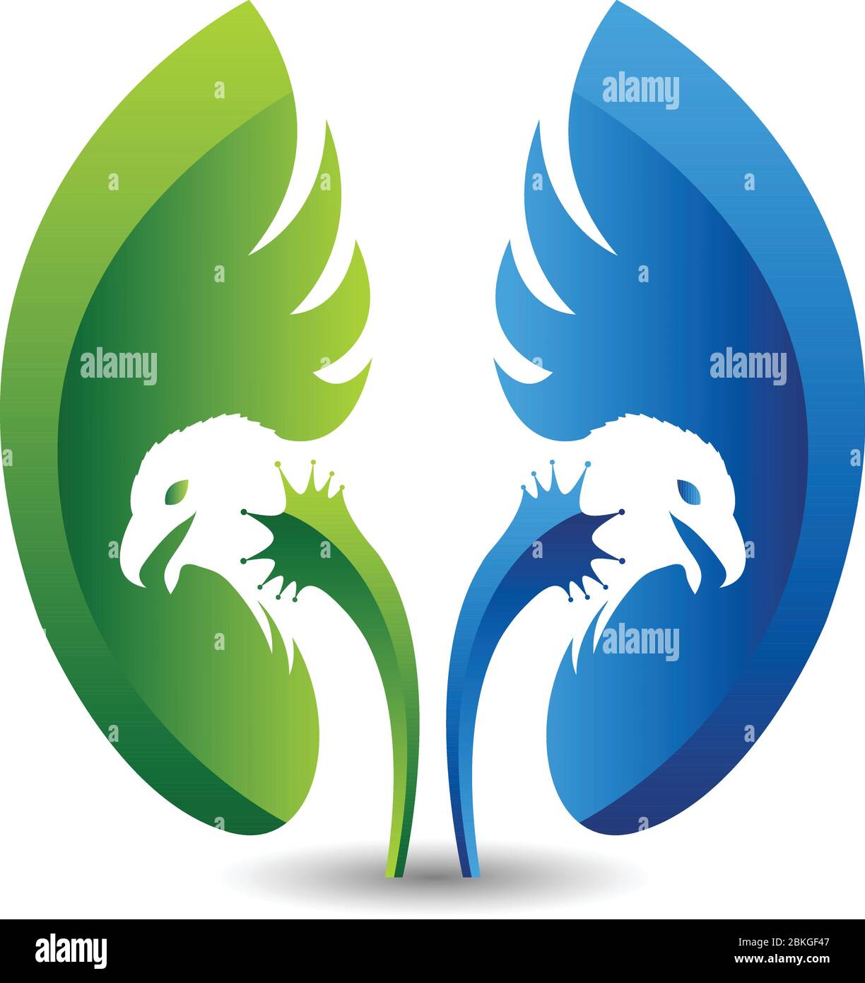 Eagle anatomy Stock Vector Images - Alamy