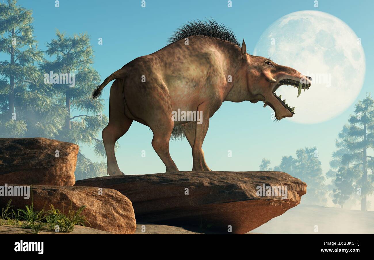 The Entelodon, or hell pig, is an extinct prehistoric pig or boar-like ...