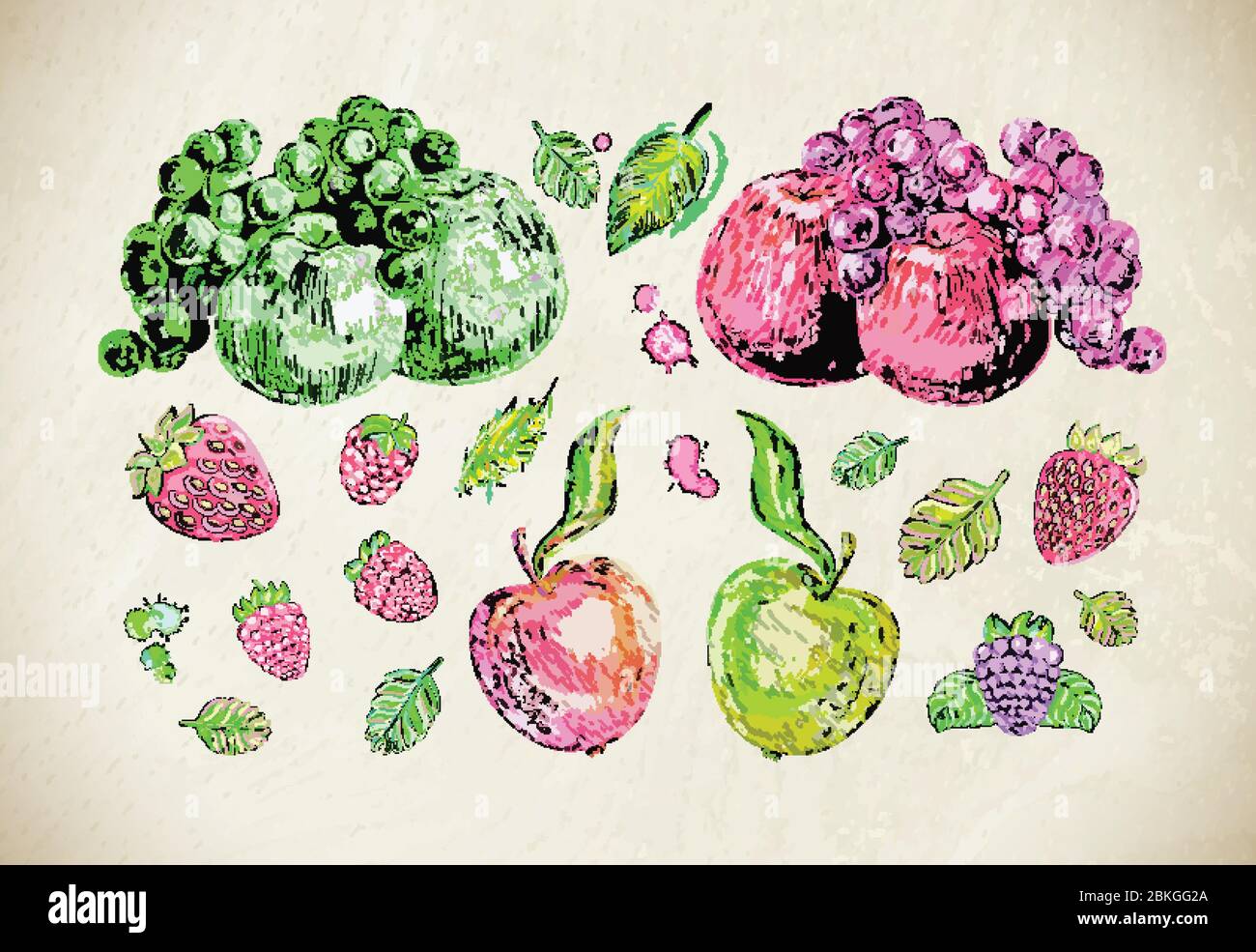 Grapes pink flower leaf Stock Vector Images - Alamy