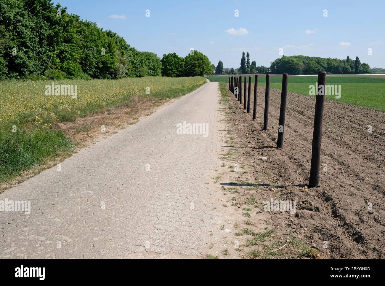 Empty road with fence posts in a rural area Stock Photo - Alamy