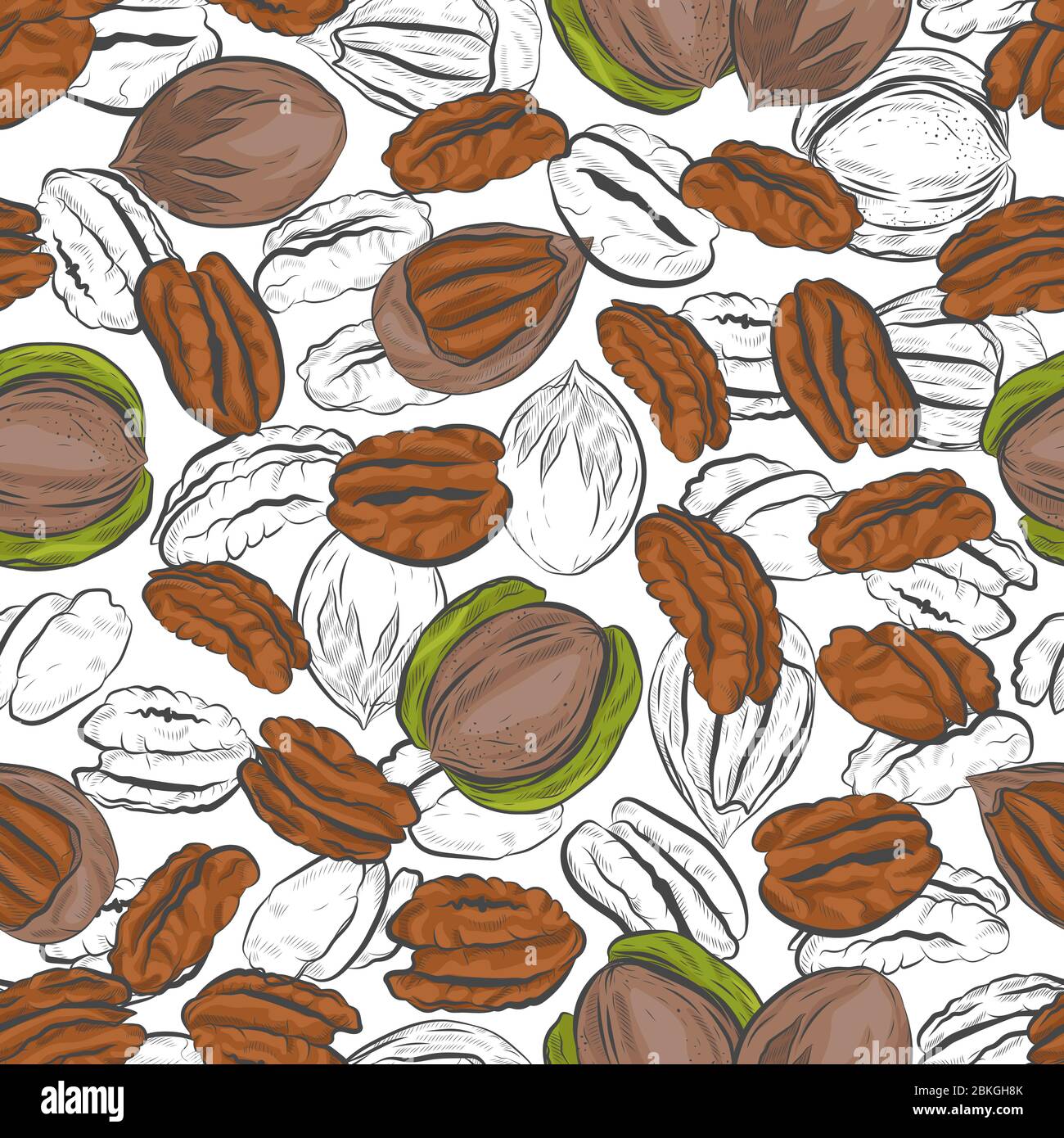 Pecan nuts in shell endless background Stock Vector Image & Art - Alamy