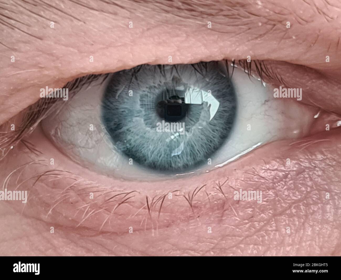 Human eyeball with lashes Stock Photo - Alamy