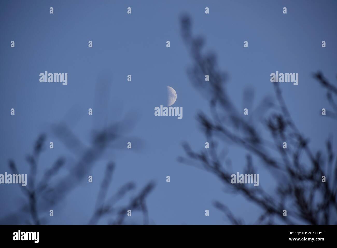 Moon in the twilight winter hi-res stock photography and images - Alamy