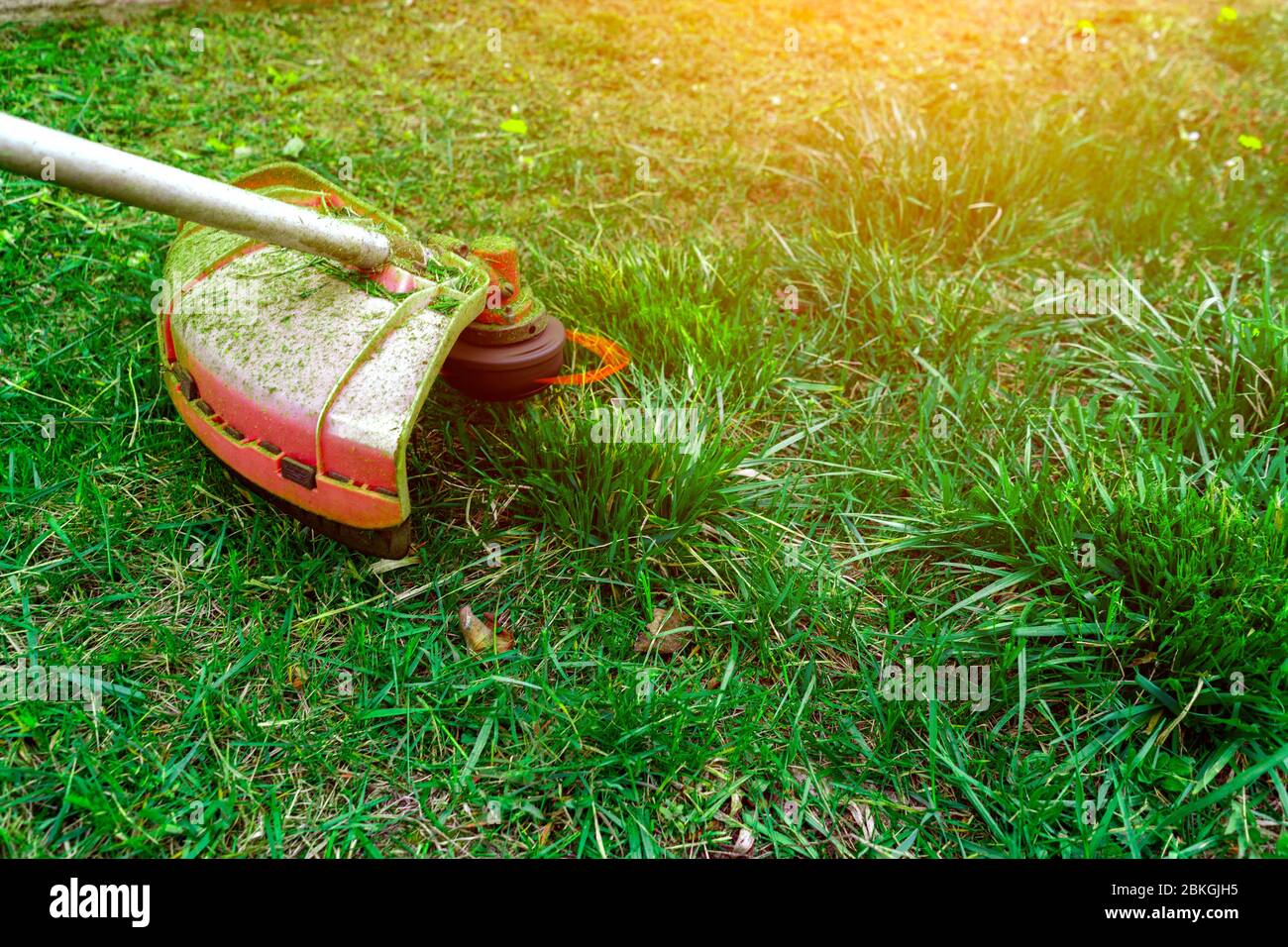 Lawn mower cutting green grass in backyard.Gardening background Stock ...