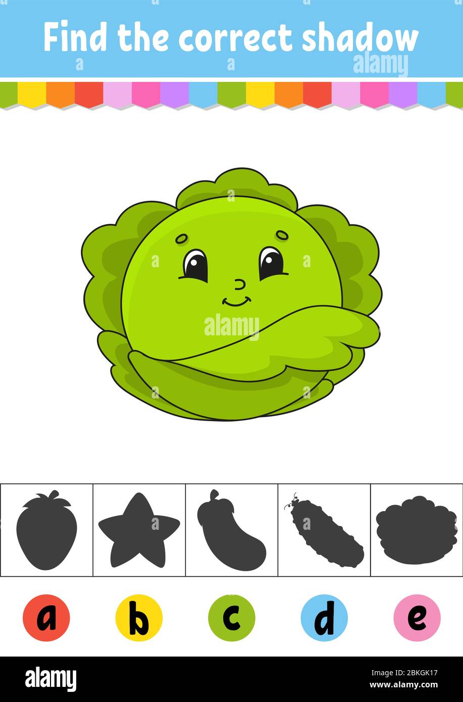 Find the correct shadow. Vegetable cabbage. Education developing ...
