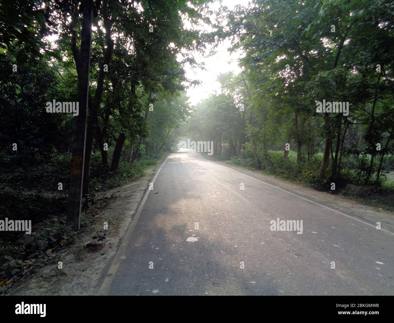 Roadway through nature hi-res stock photography and images - Alamy
