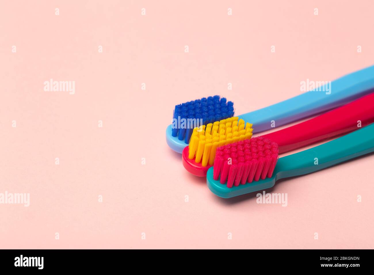 Toothbrushes of different colors on a pink background. Brushing teeth ...