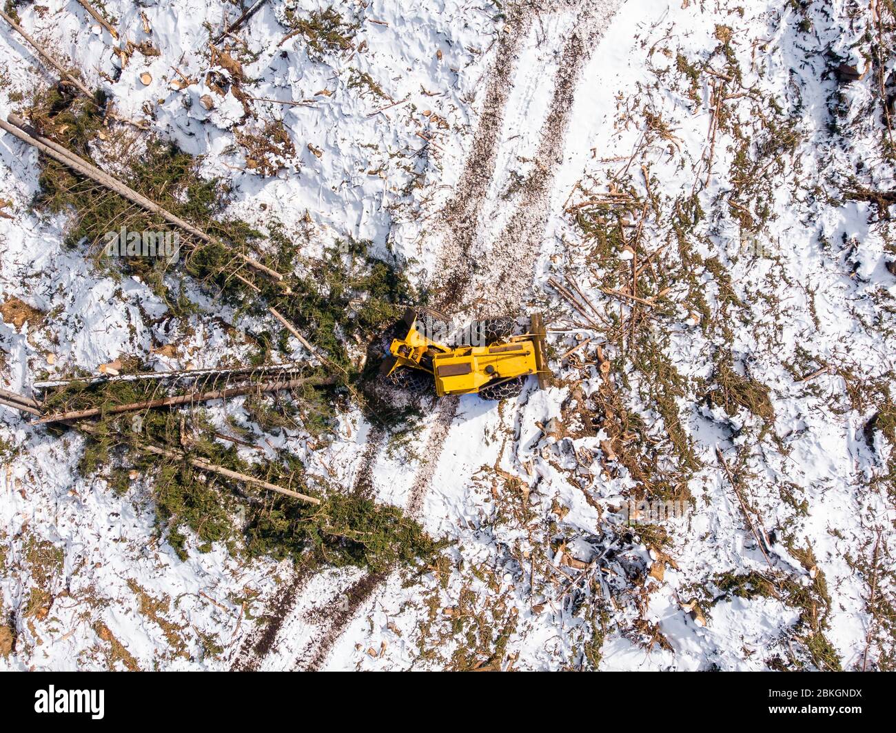 Lumberjack timber with modern harvester working in forest. Top view ...