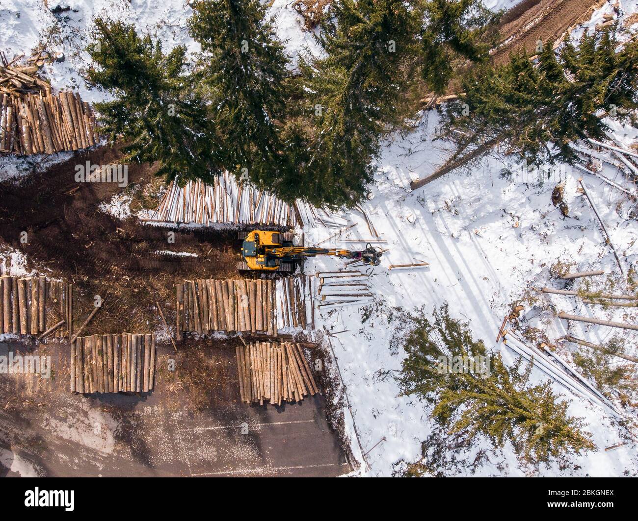 Lumberjack timber with modern harvester working in forest. Top view ...