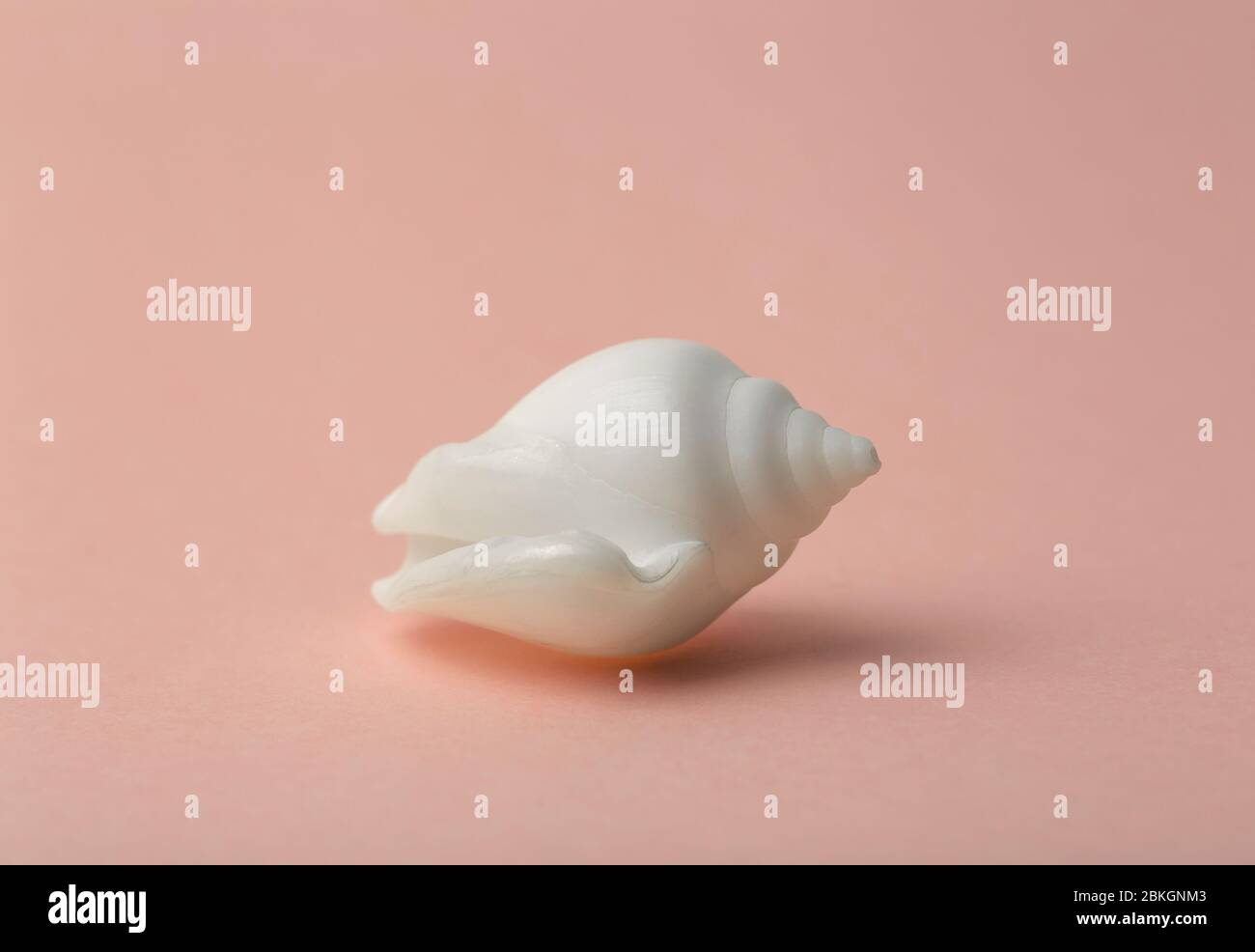 Background pink color with seashells. Sea and ocean background with ...