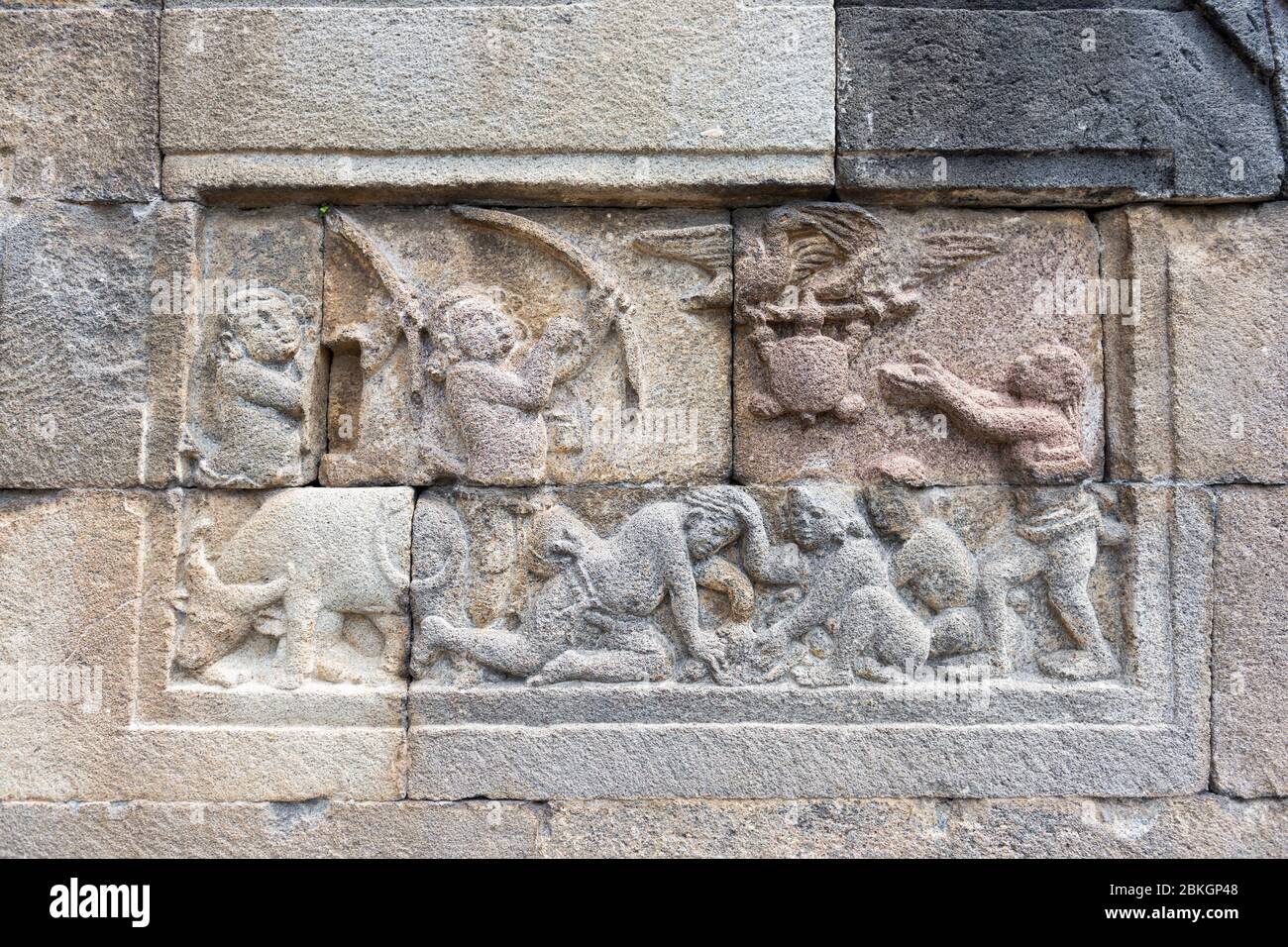 Jataka turtle hi-res stock photography and images - Alamy