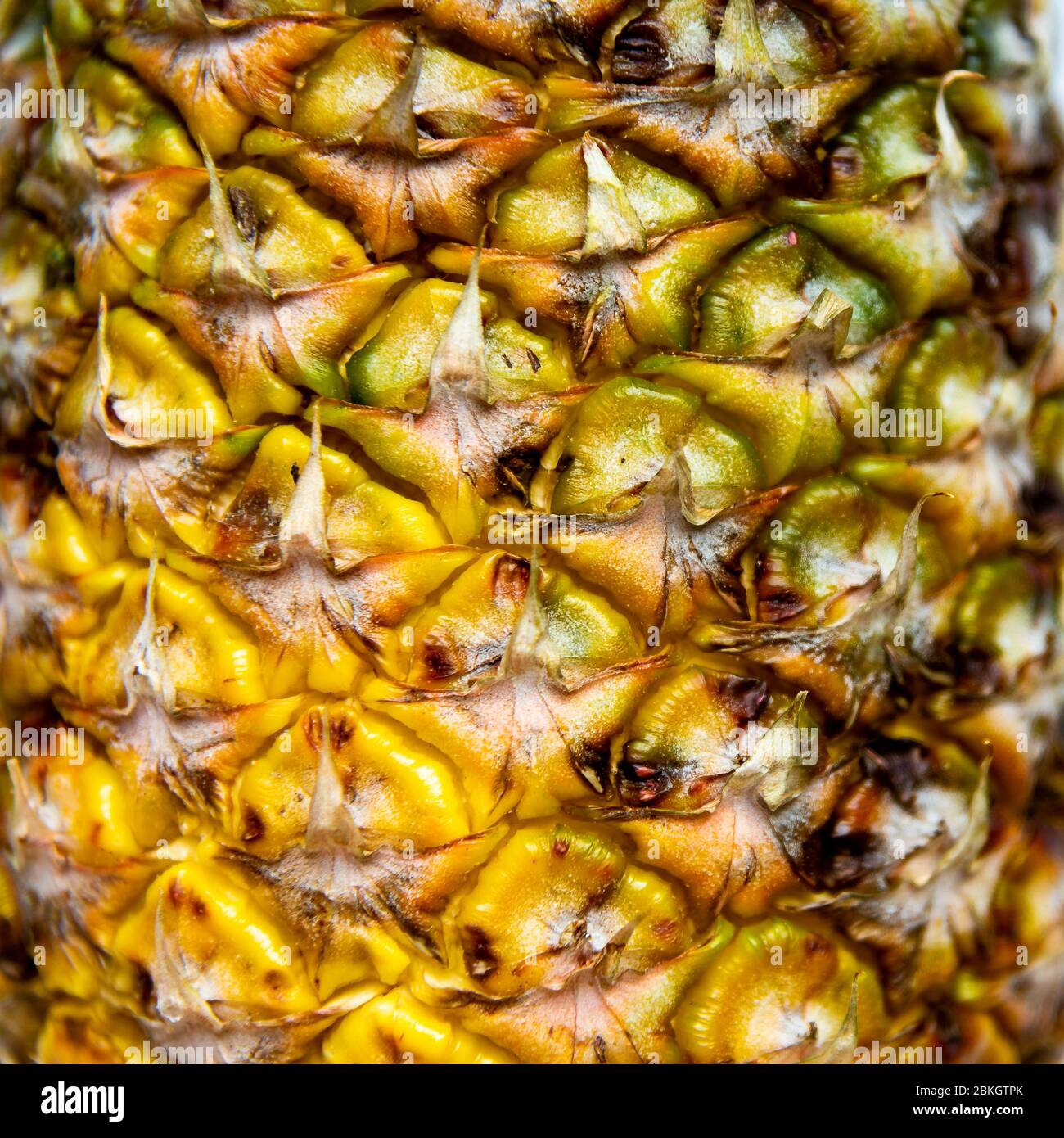 Close Up Pineapple Skin High Resolution Stock Photography and Images ...